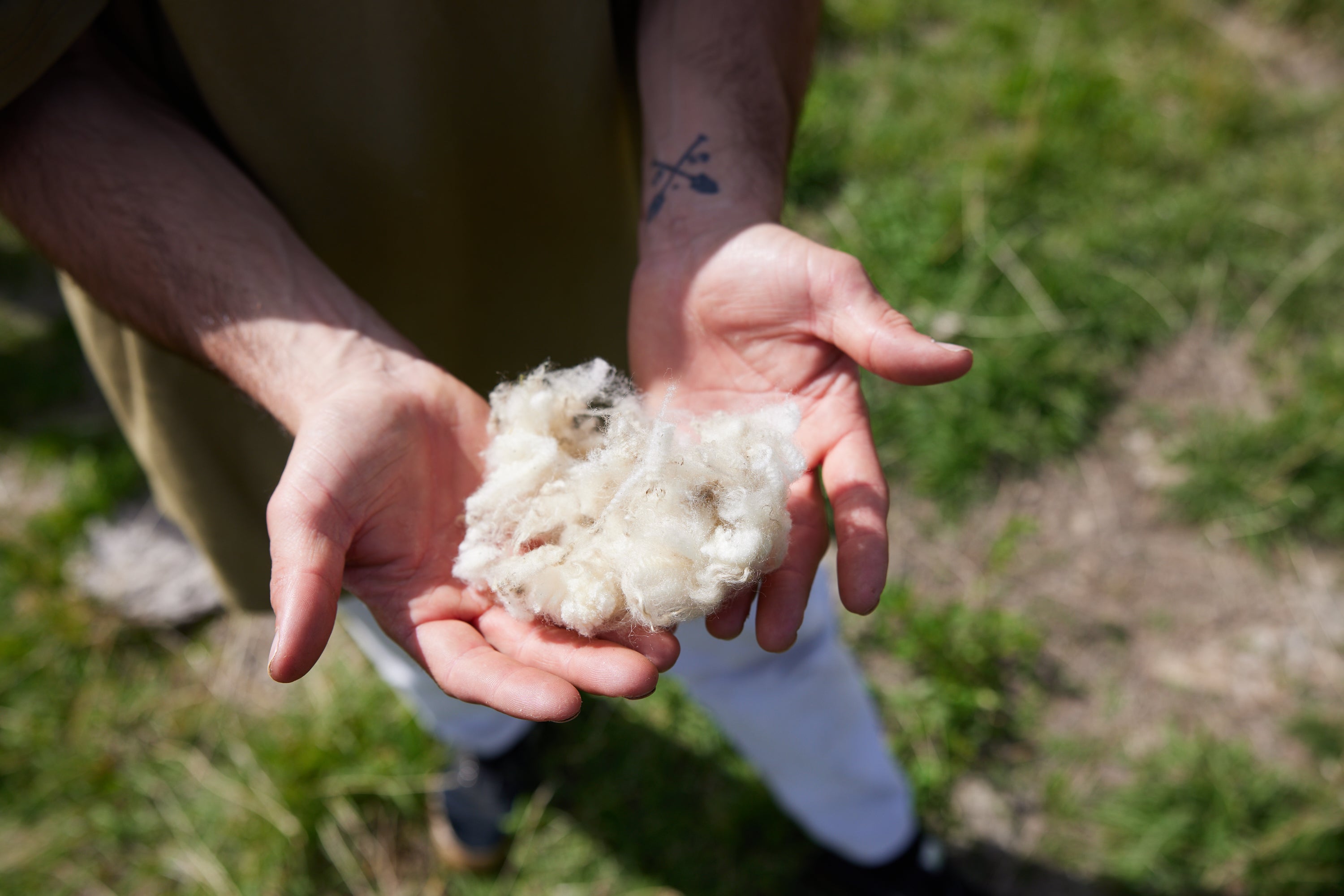 Wool Weed Mats made from pure New Zealand Wool | 50 pack – PolyNatural